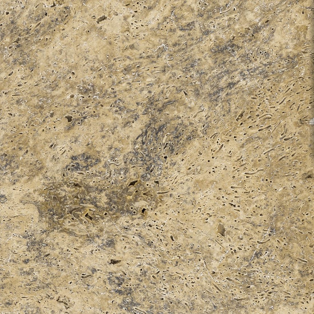 Travertine Tile – Atlantic Stone Source